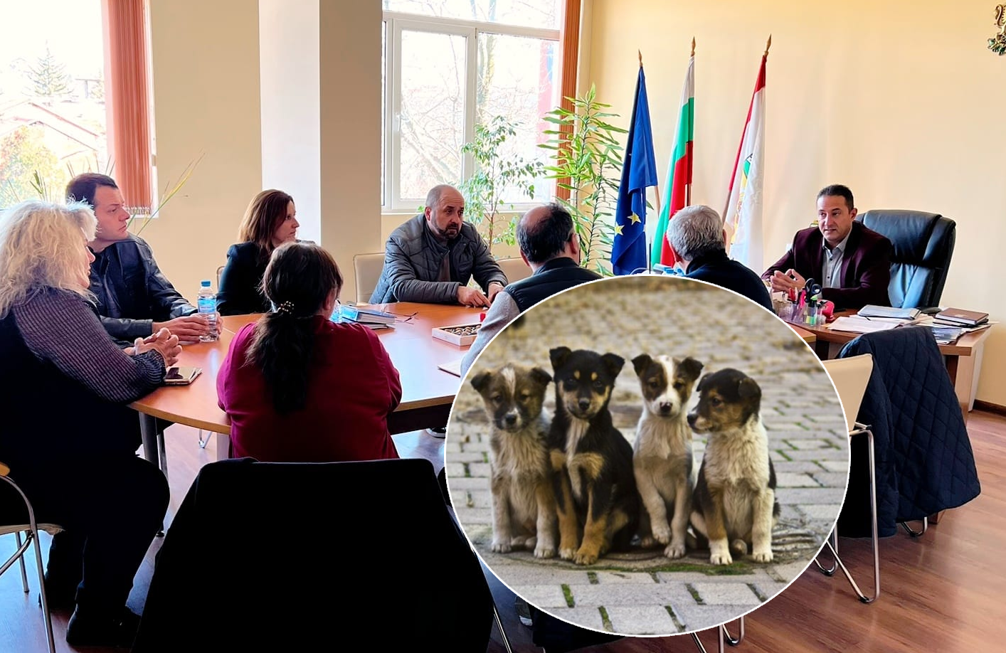 Кметът Кирил Стоев събра ветеринарите на спешна среща Радомир тръгва